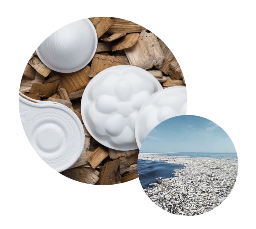 Yangi - Reshaping the world of packaging | Packaging Day